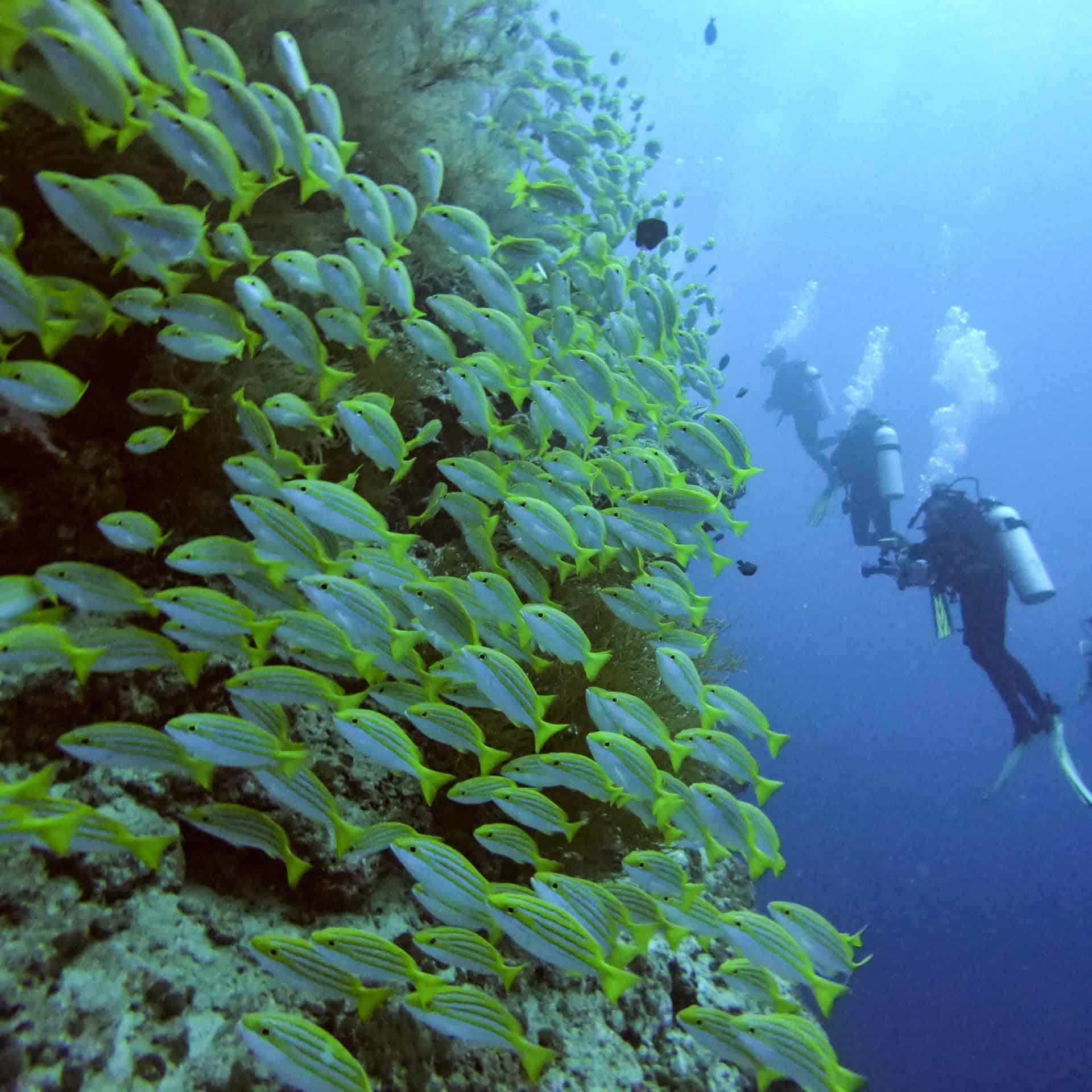 10 Unmissable Things To Do In The Maldives | Stoked For Travel