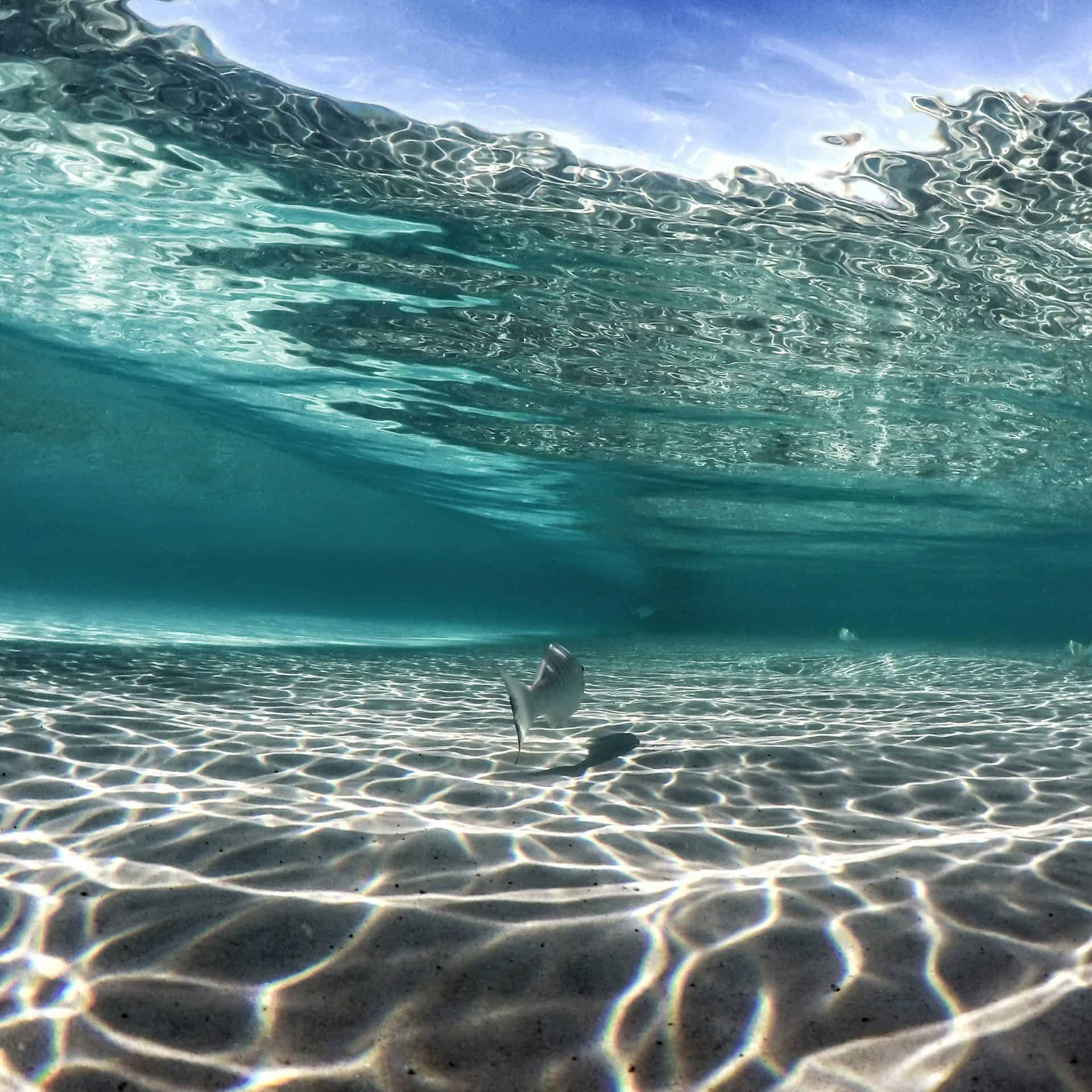 Nail Those Underwater GoPro Shots - Tips & Settings | Stoked For Travel