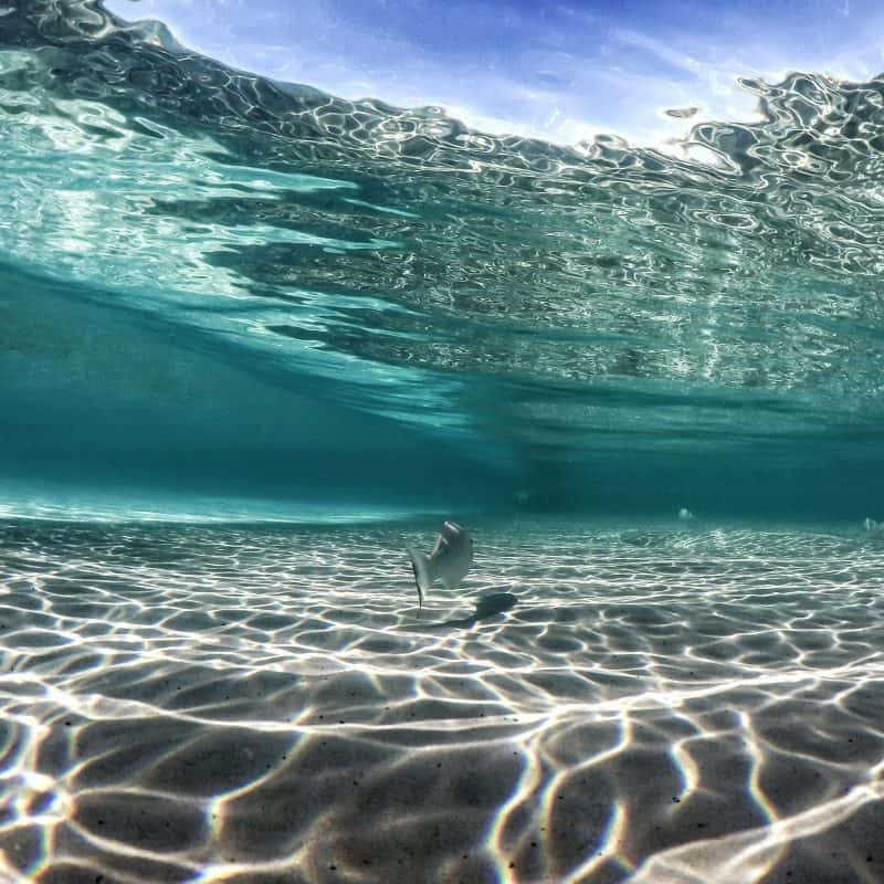 Nail Those Underwater GoPro Shots - Tips & Settings | Stoked For Travel