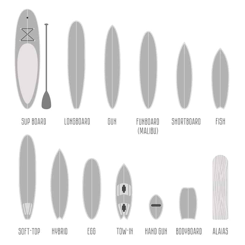 Surfboard Shapes Guide Shortboard Longboard Mini Mal Fish Retro H gun 